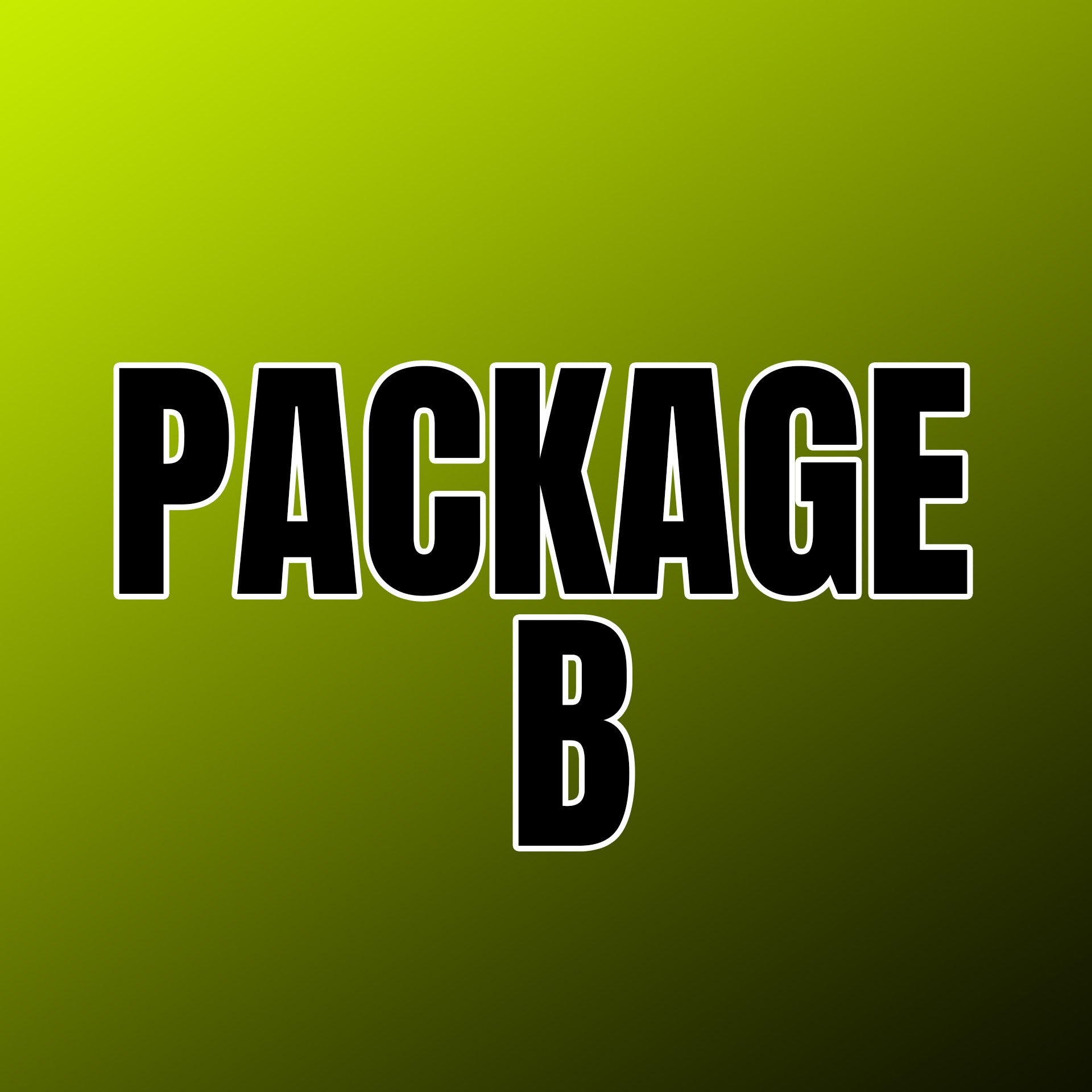 Package B - 2 Individual Poses / 1 Team Photo / 2 Backgrounds (All Dig ...